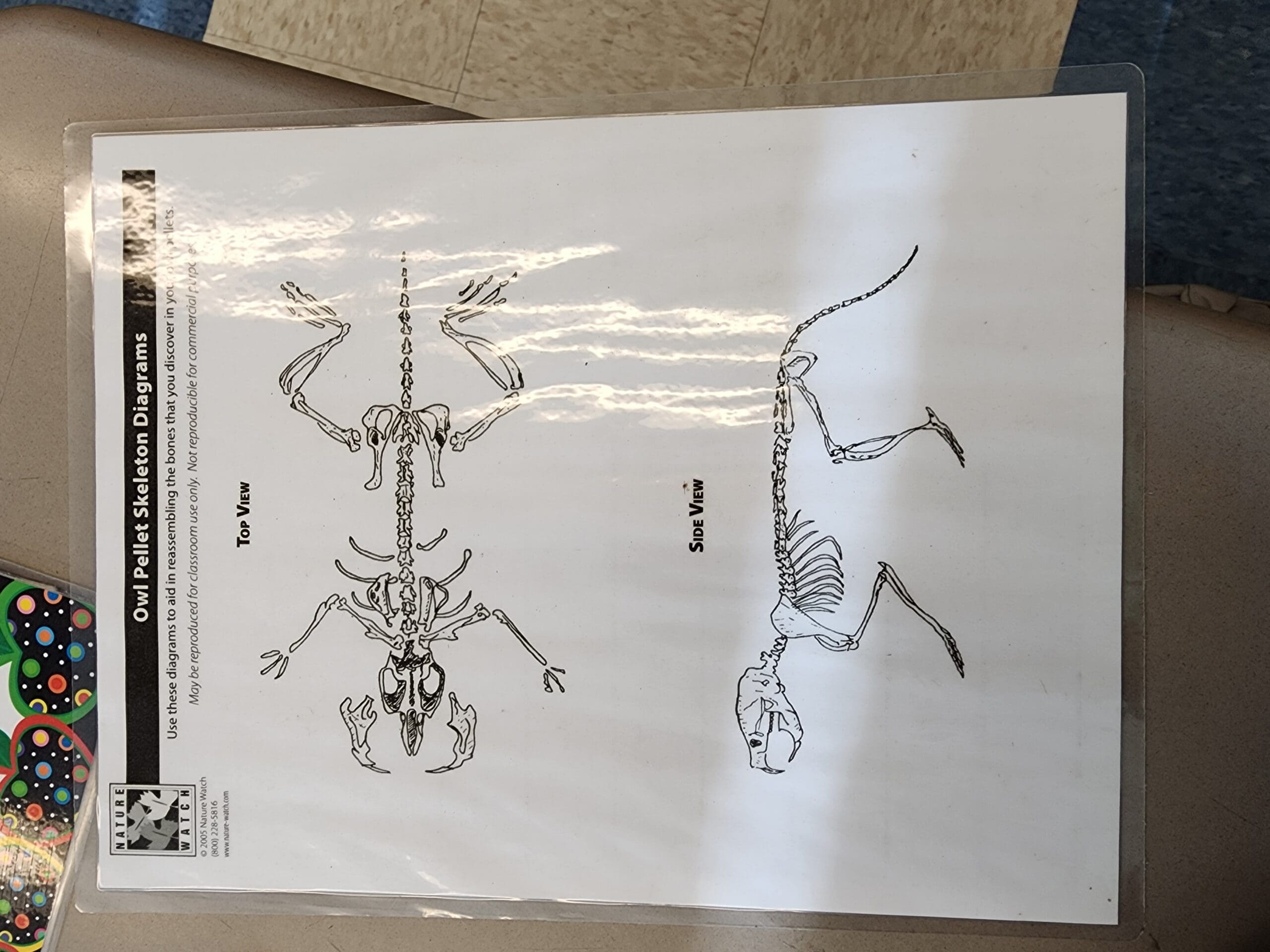 20241022_101311 | Averill Park Central School District