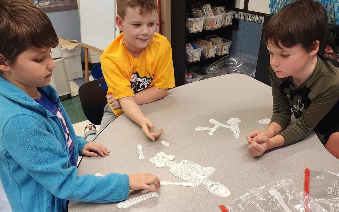 WSL 3G Builds a Skeleton (1) | Averill Park Central School District